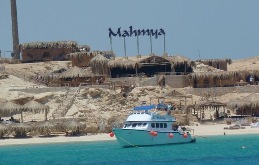 Mahmya Island Snorkeling Tour : Red Sea Crystal Waters - Hurghada To Go