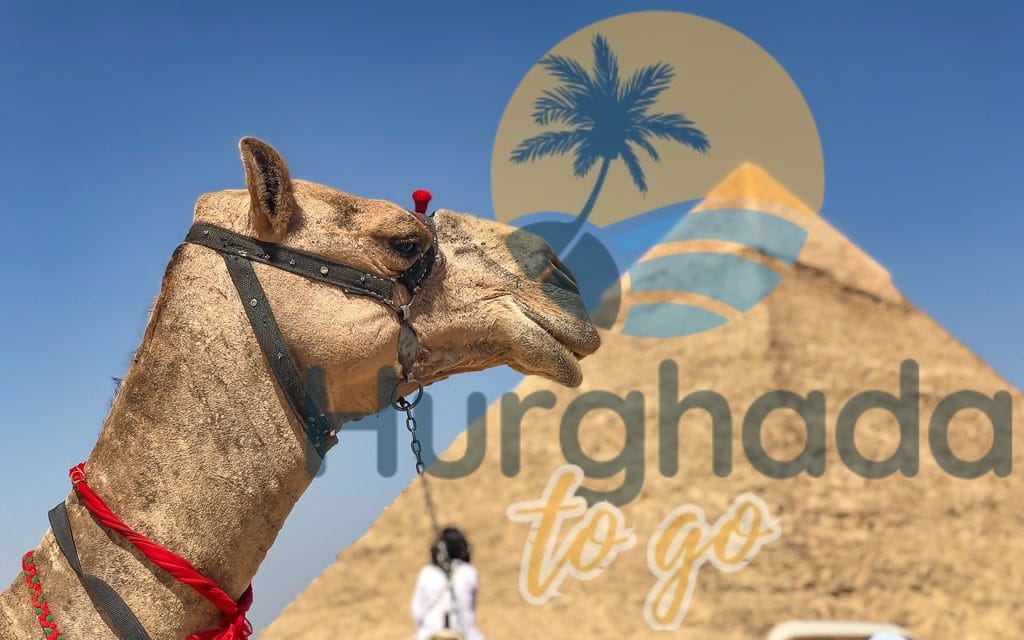 Egypt Itinerary Examples for 2026: Plan Your Perfect Adventure ...