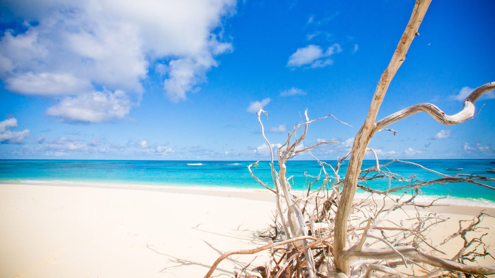 Hurghada Excursions and Tours: Discover the Best Experiences Beyond the ...
